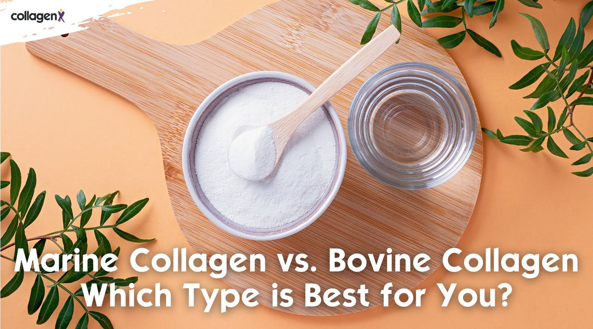 Marine Collagen vs. Bovine Collagen | CollagenX