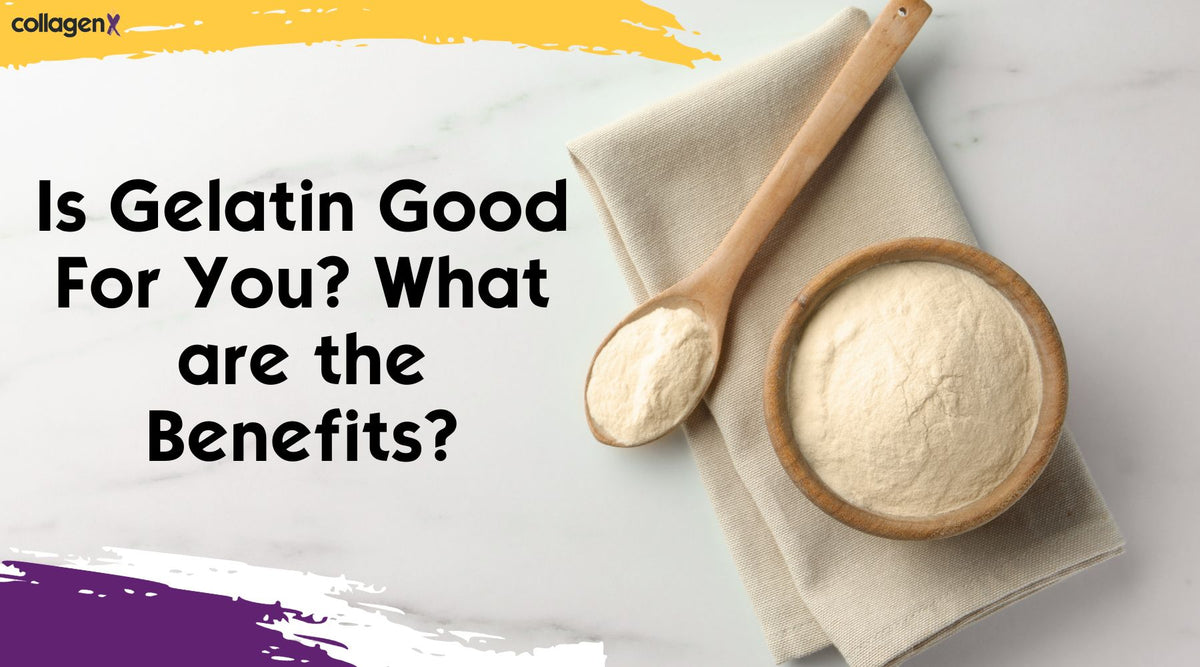 Is Gelatin Good For You? What Are The Benefits | CollagenX
