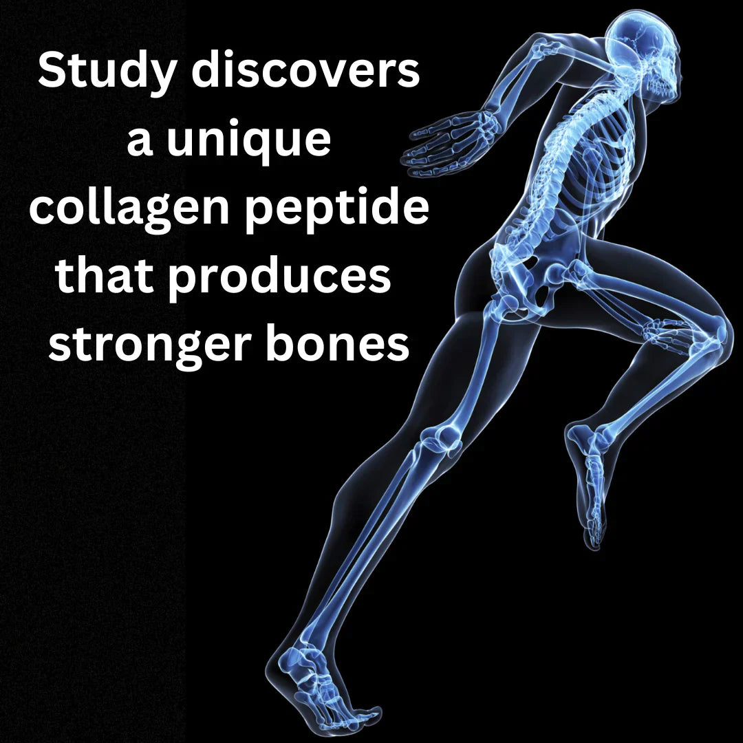 Collagen Peptides for Bone Formation: New Study | CollagenX