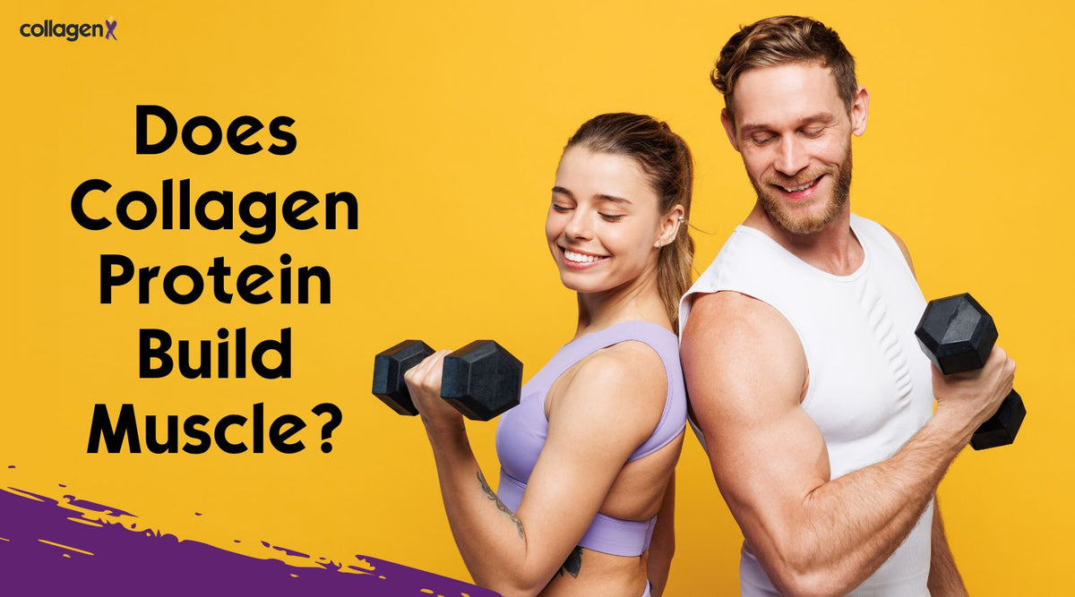Does Collagen Protein Build Muscle? | CollagenX
